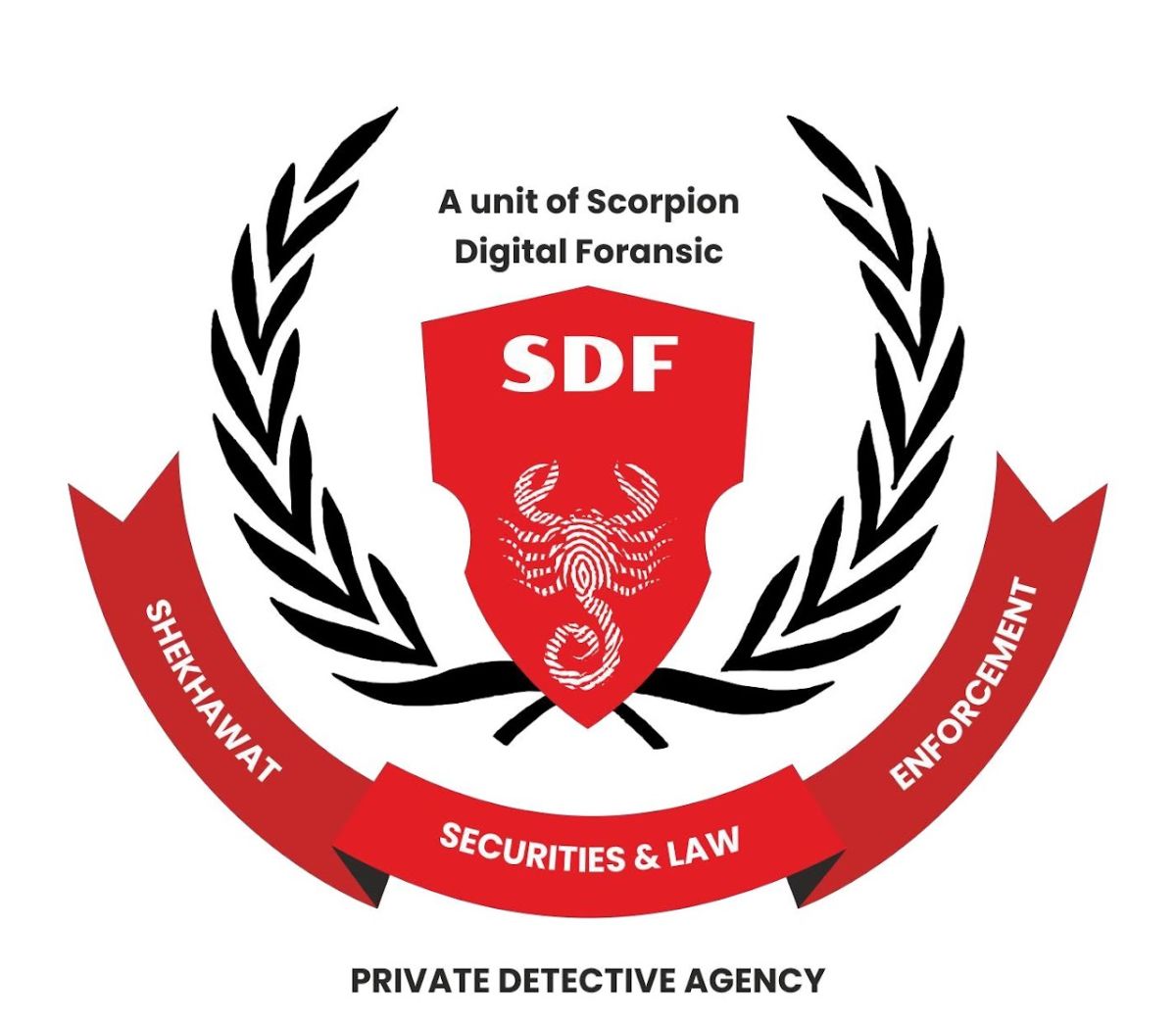 THE SDF - The SDF – Private Investigator and Security Consultant, Rajasthan